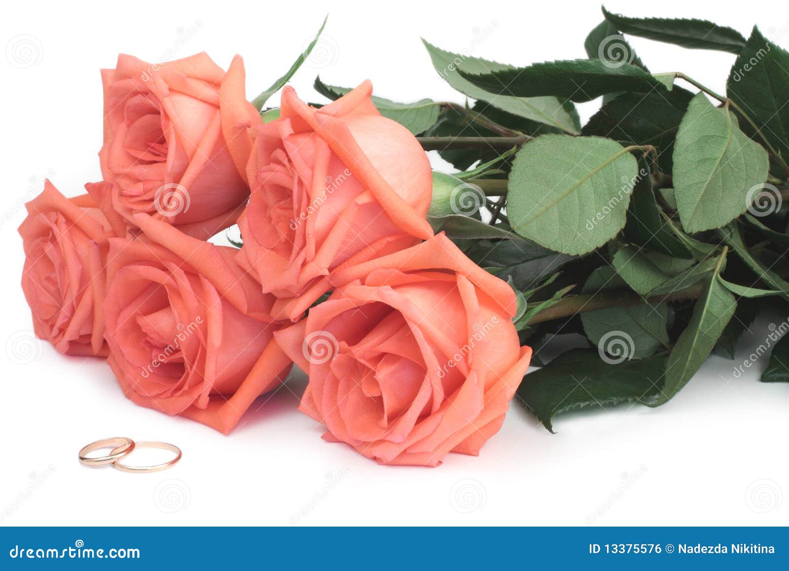 Roses and wedding rings stock photo. Image of beautiful - 13375576