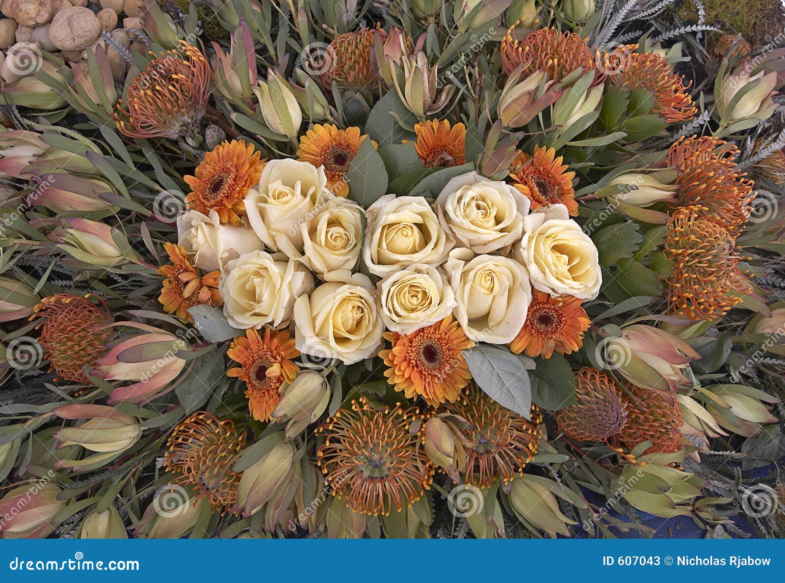 Roses and Wild Flowers stock image. Image of pebbles, roses - 607043