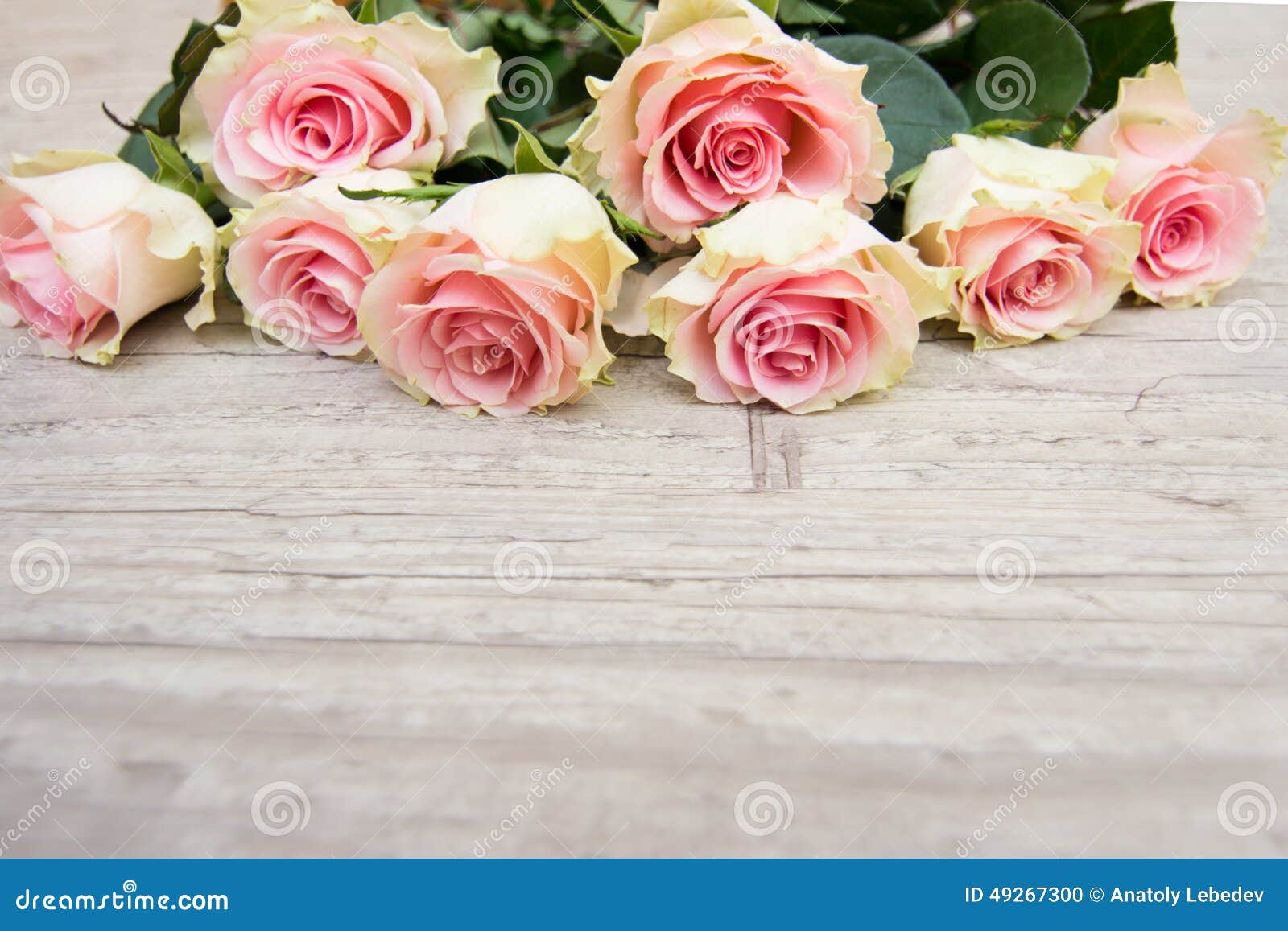 Roses on a Wooden Background Stock Photo - Image of flower, garden ...