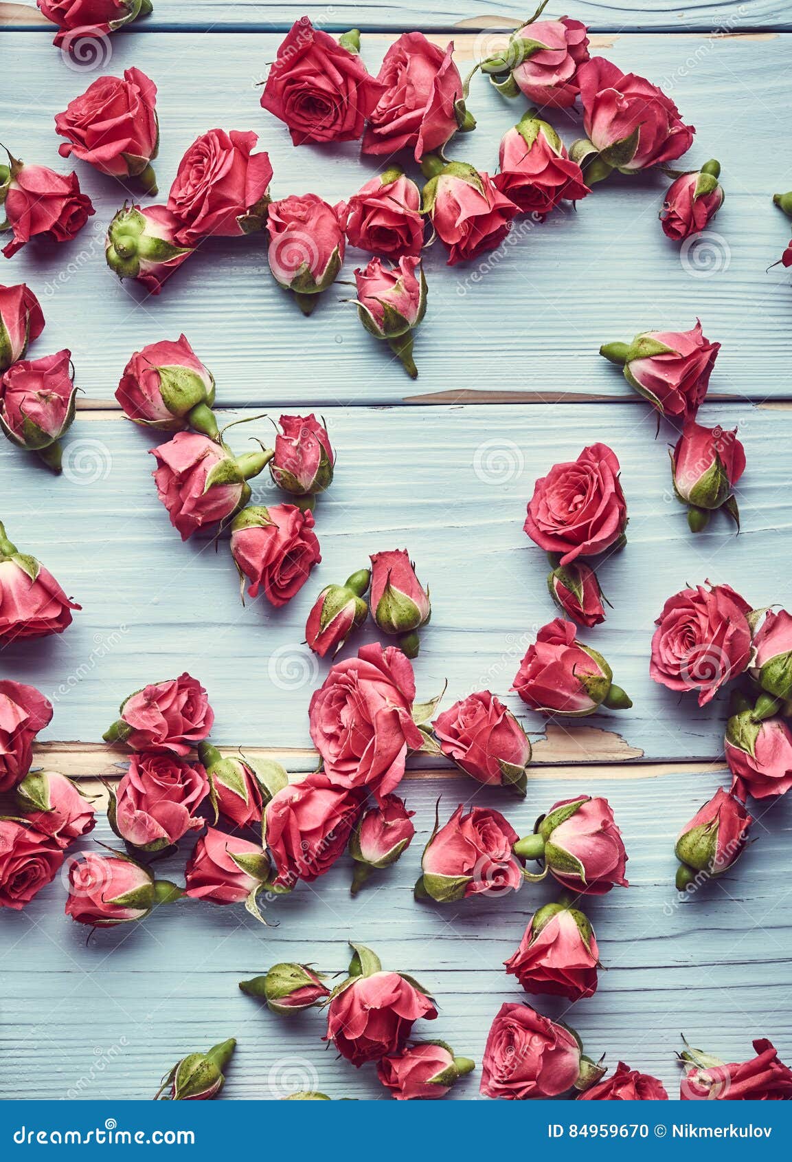 Roses on wooden background stock photo. Image of blossom - 84959670