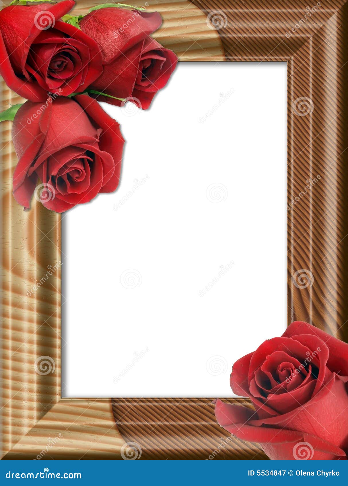 Roses on a Wooden Framework Stock Image - Image of isolated, floral ...