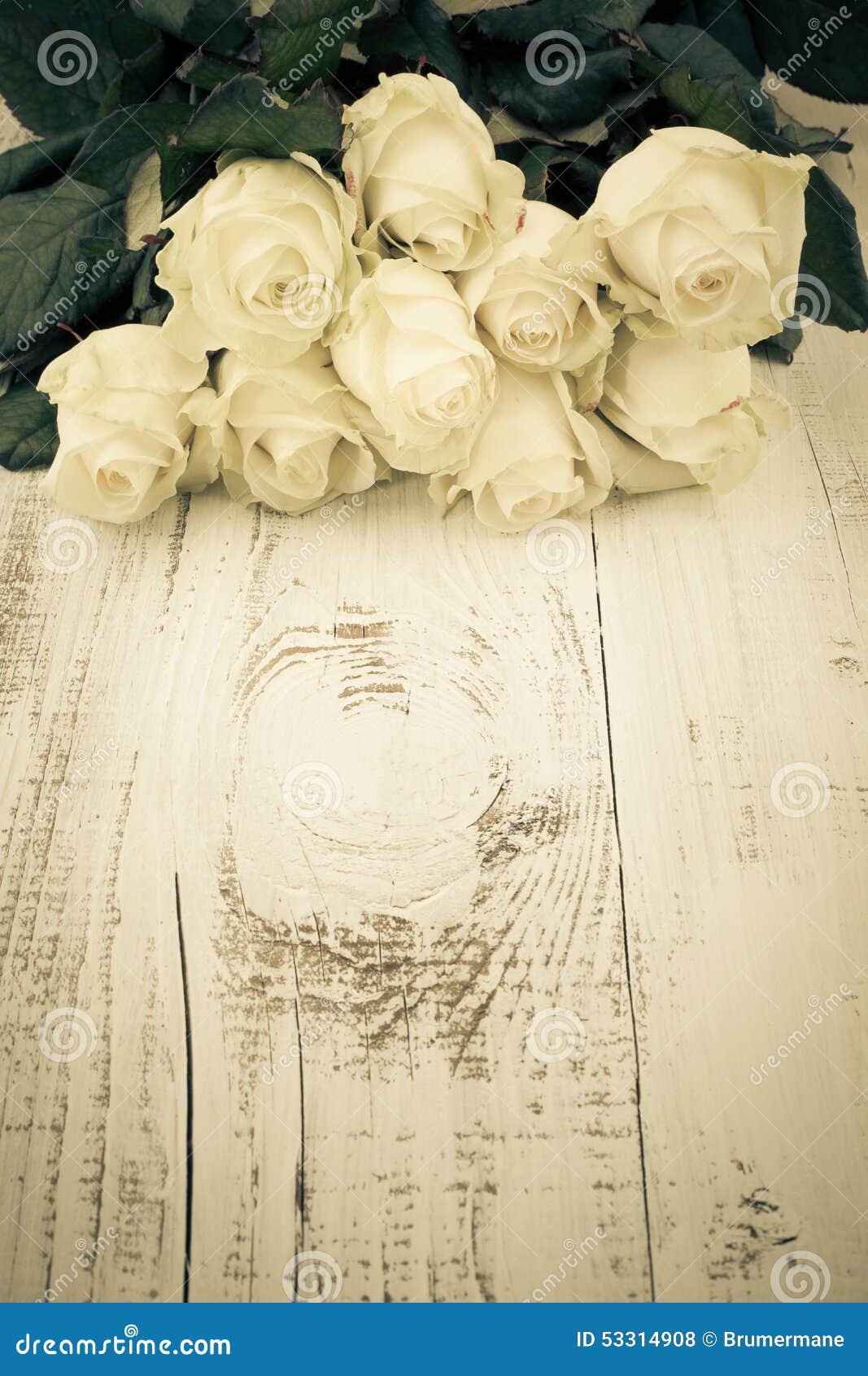 Roses on the Wooden Table stock photo. Image of dream - 53314908