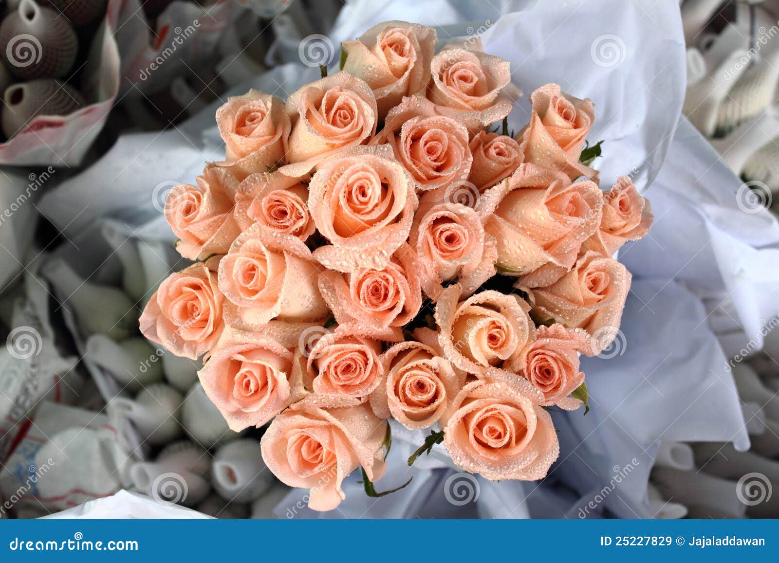 Roses wrapped in paper stock image. Image of blue, flower - 25227829