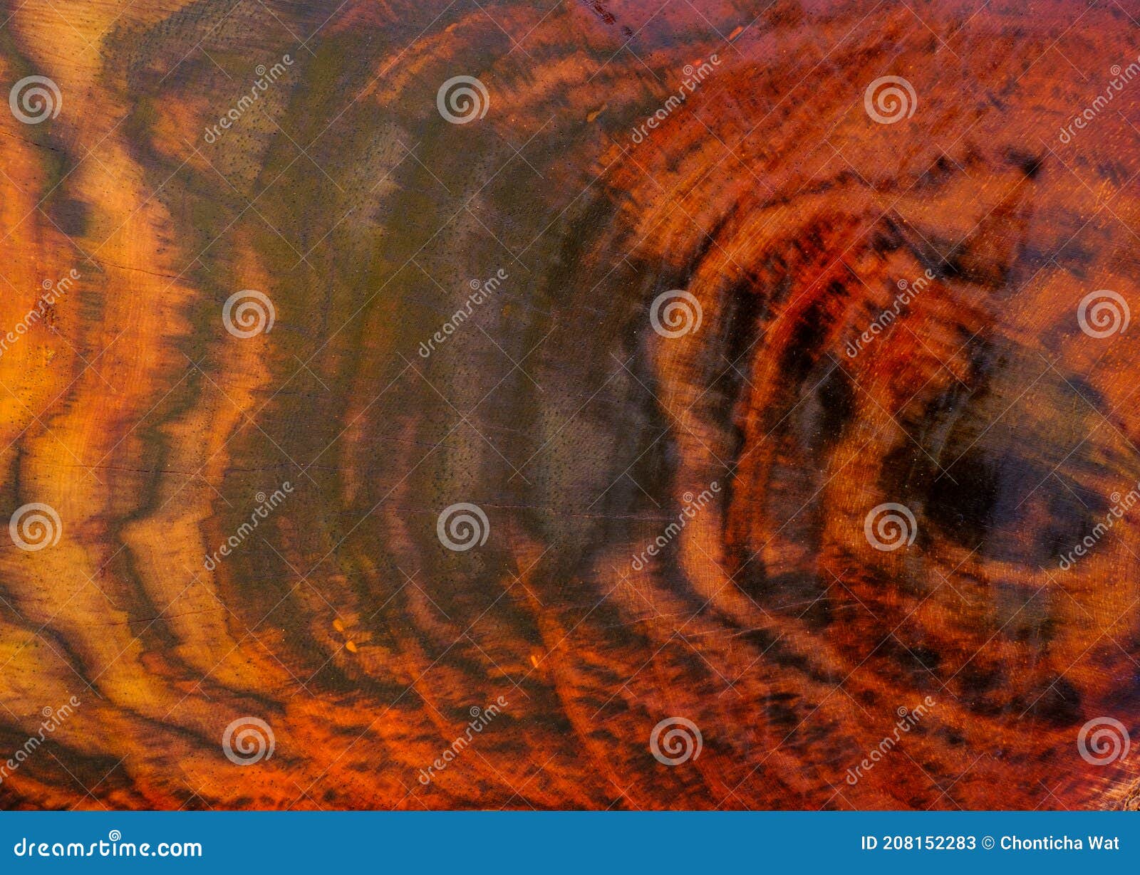 Rosewood Tree Rings Texture Background Stock Image - Image of abstract ...