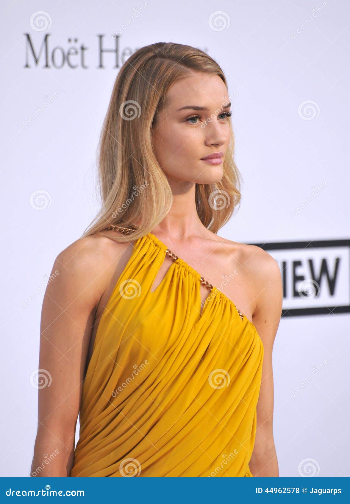 Rosie Huntington-Whitely photo stock éditorial. Image du contre - 44962578