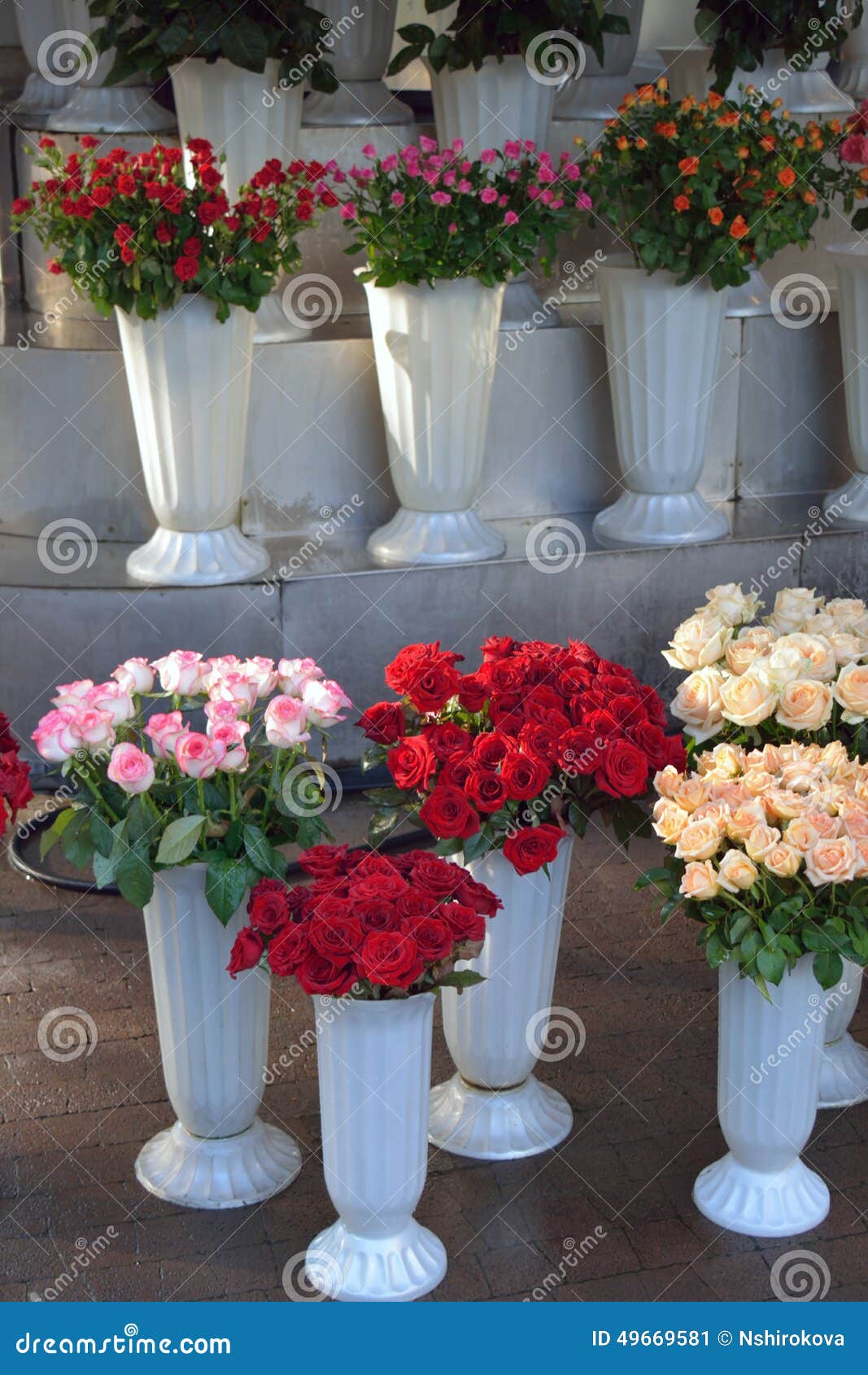 Rosor I Buketter I Plast- Vaser Fotografering för Bildbyråer - Bild av ...