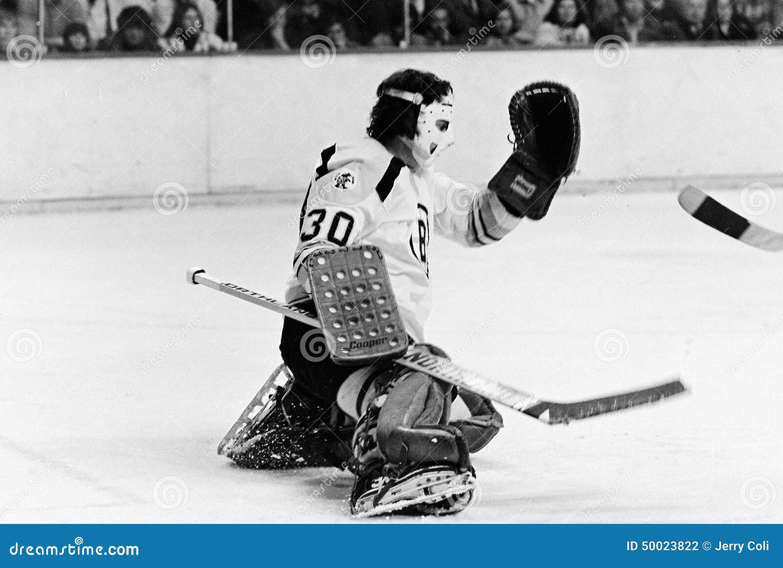 Ross Brooks, Boston Bruins fotografía editorial. Imagen de imagen ...