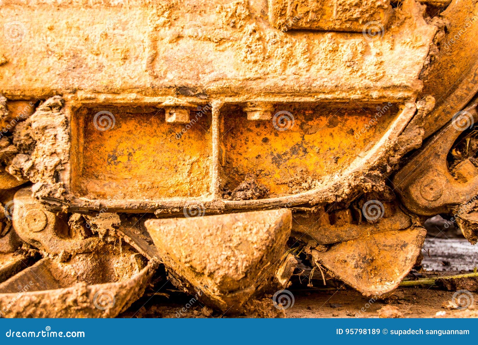 Rost fotografering för bildbyråer. Bild av naturligt - 95798189