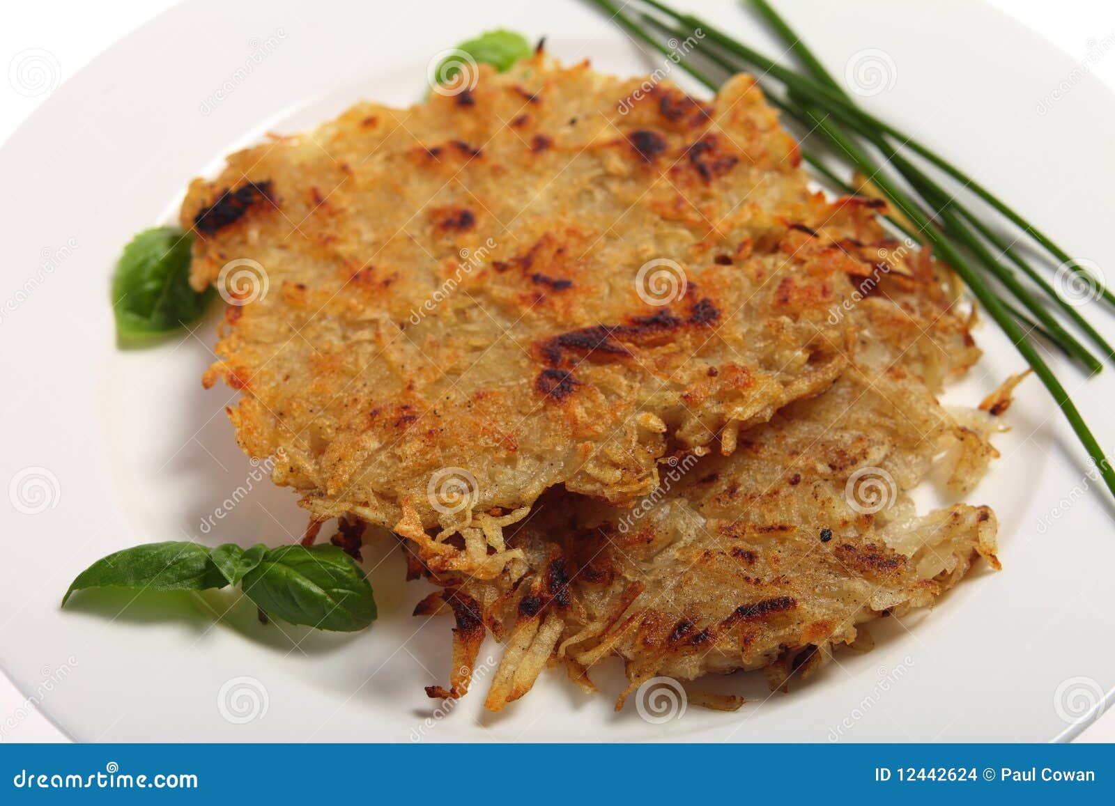 Rosti potatoes stock photo. Image of plate, close, european - 12442624