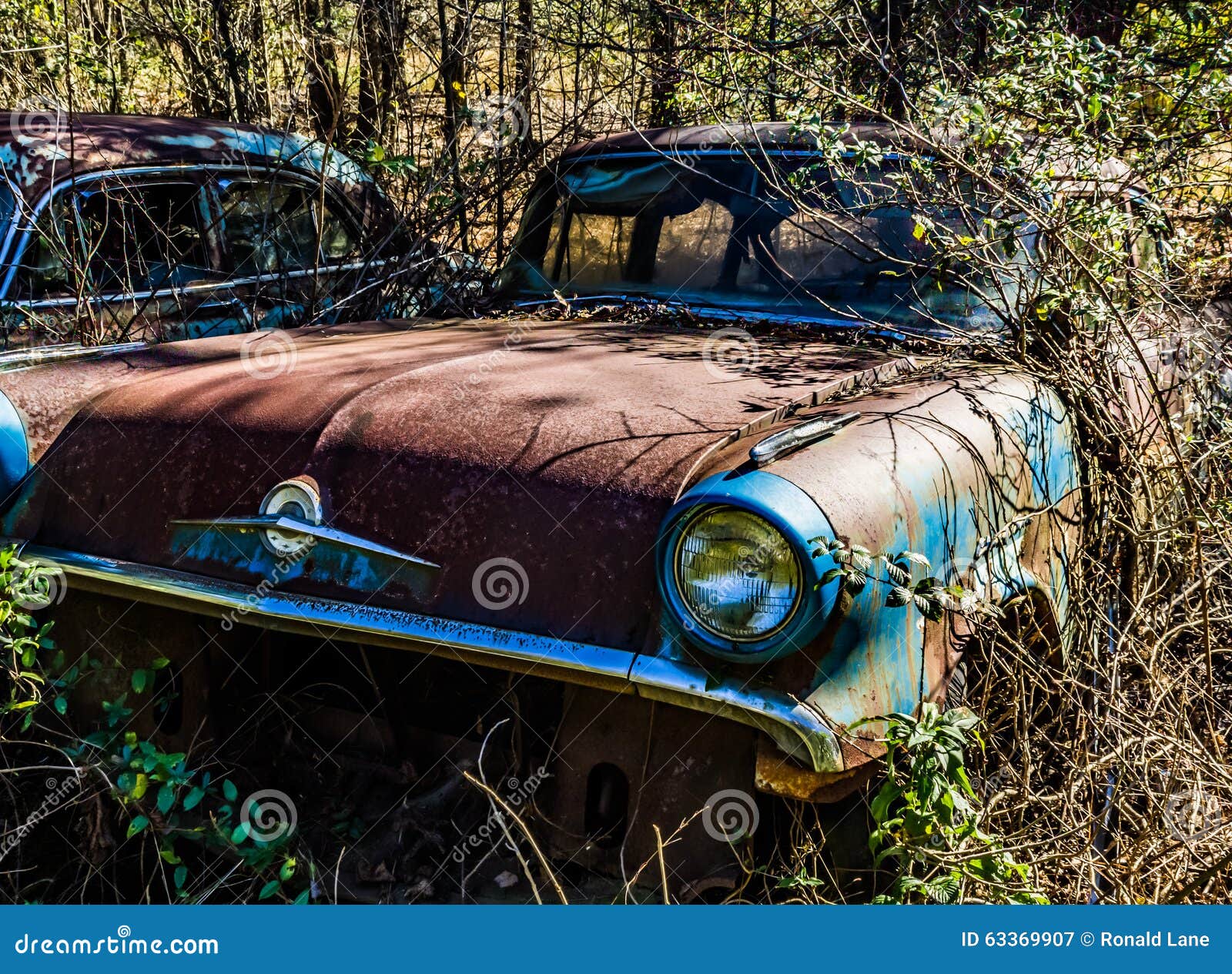 Rostiges, Altes, Junked Auto Im Wald Stockbild - Bild von grill, rost ...