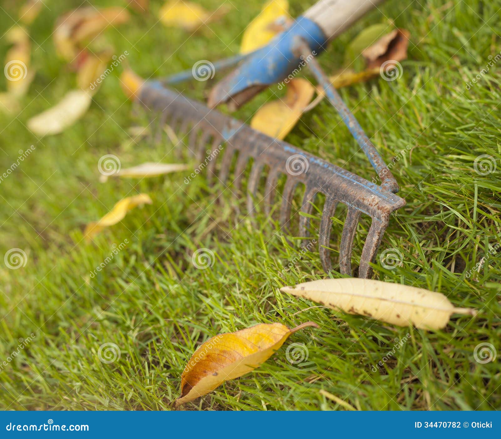 Rostigt kratta arkivfoto. Bild av natur, gräva, lövverk - 34470782
