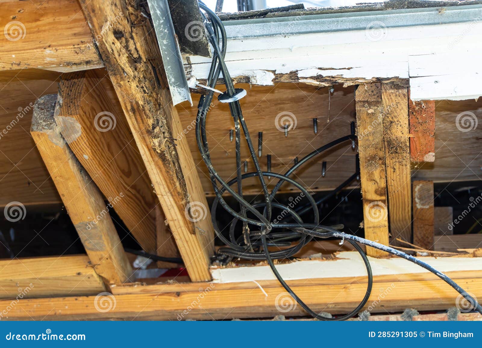 Rot and Damaged Caused by a Leaking Roof Stock Image - Image of floor ...