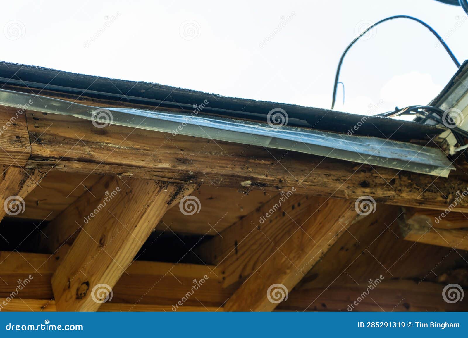 Rot and Damaged Caused by a Leaking Roof Stock Image - Image of ...