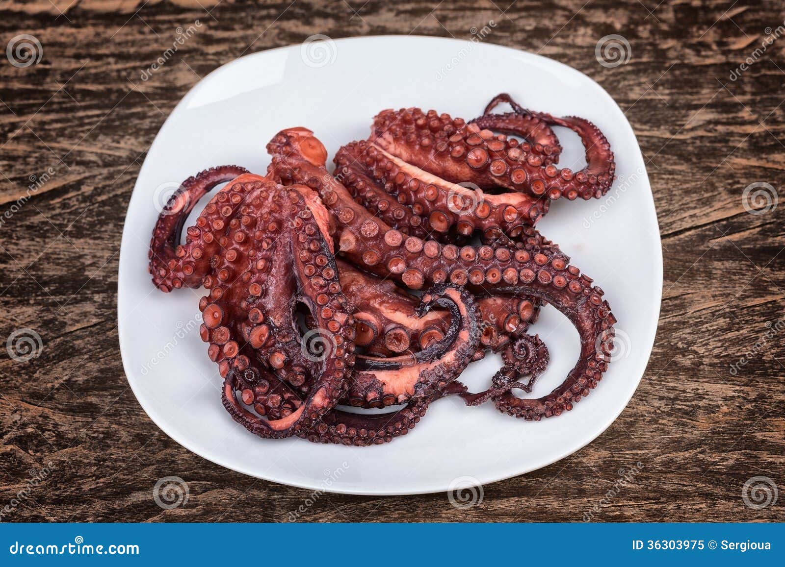 Rot gekochte Krakenplatte. stockbild. Bild von tier, hintergrund - 36303975