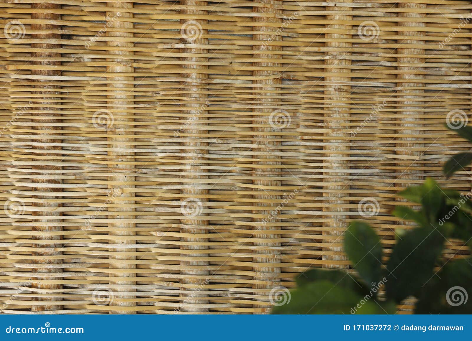 Rattan Wooven Texture Fence Stock Photo - Image of rattan, background ...