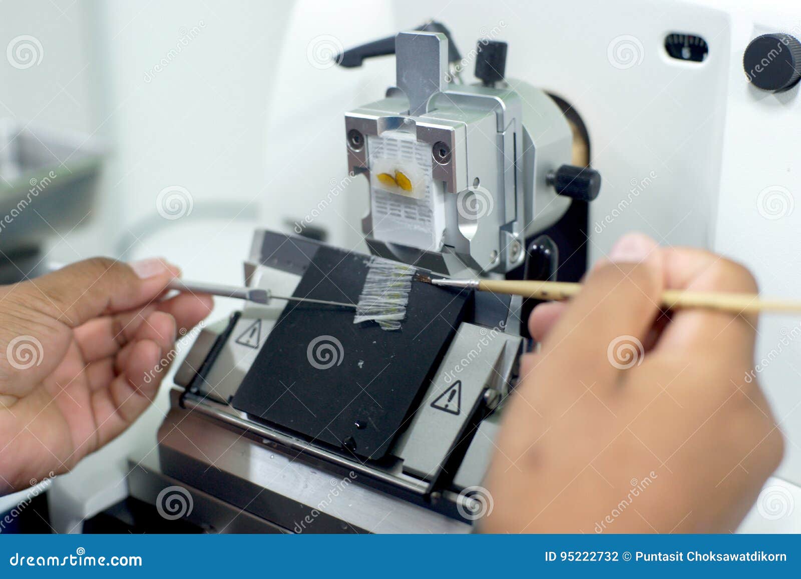 Rotary Microtome Section stock photo. Image of disorders - 95222732