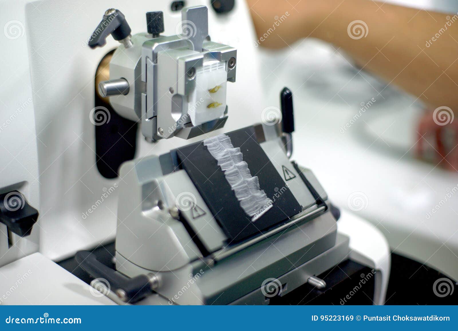 Rotary Microtome Section For Diagnosis In Pathology Make Microscope ...