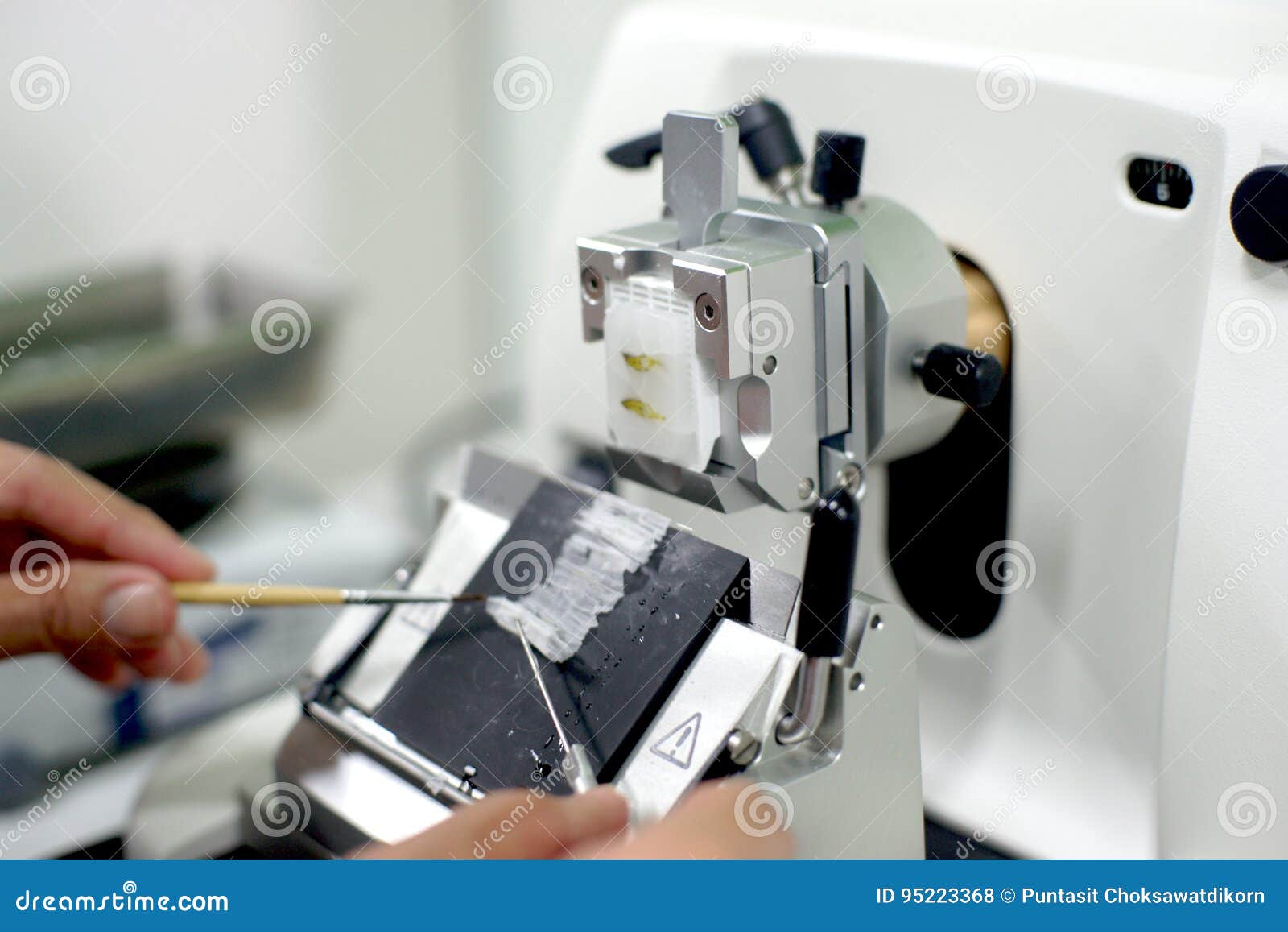 Rotary Microtome Section For Diagnosis In Pathology Make Microscope ...