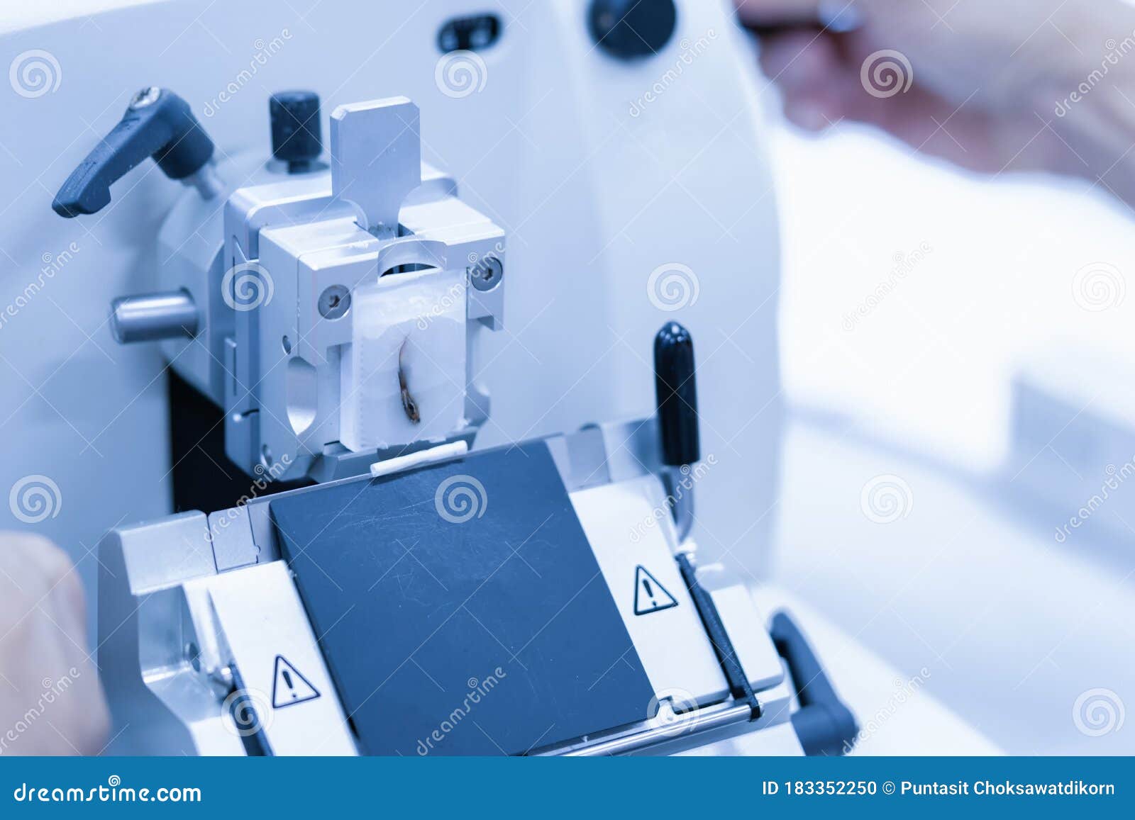 Rotary Microtome Section for Diagnosis in Pathology Make Microscope ...