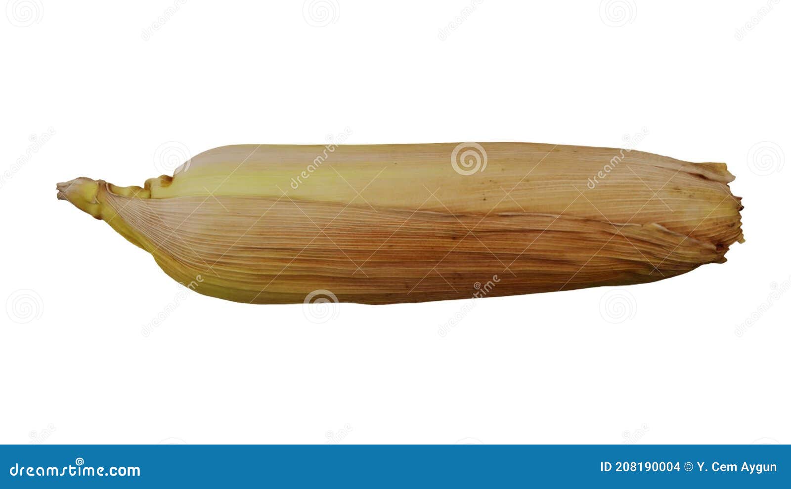 Rotating Corn on the Cob White Background 01B Looping Stock Footage ...