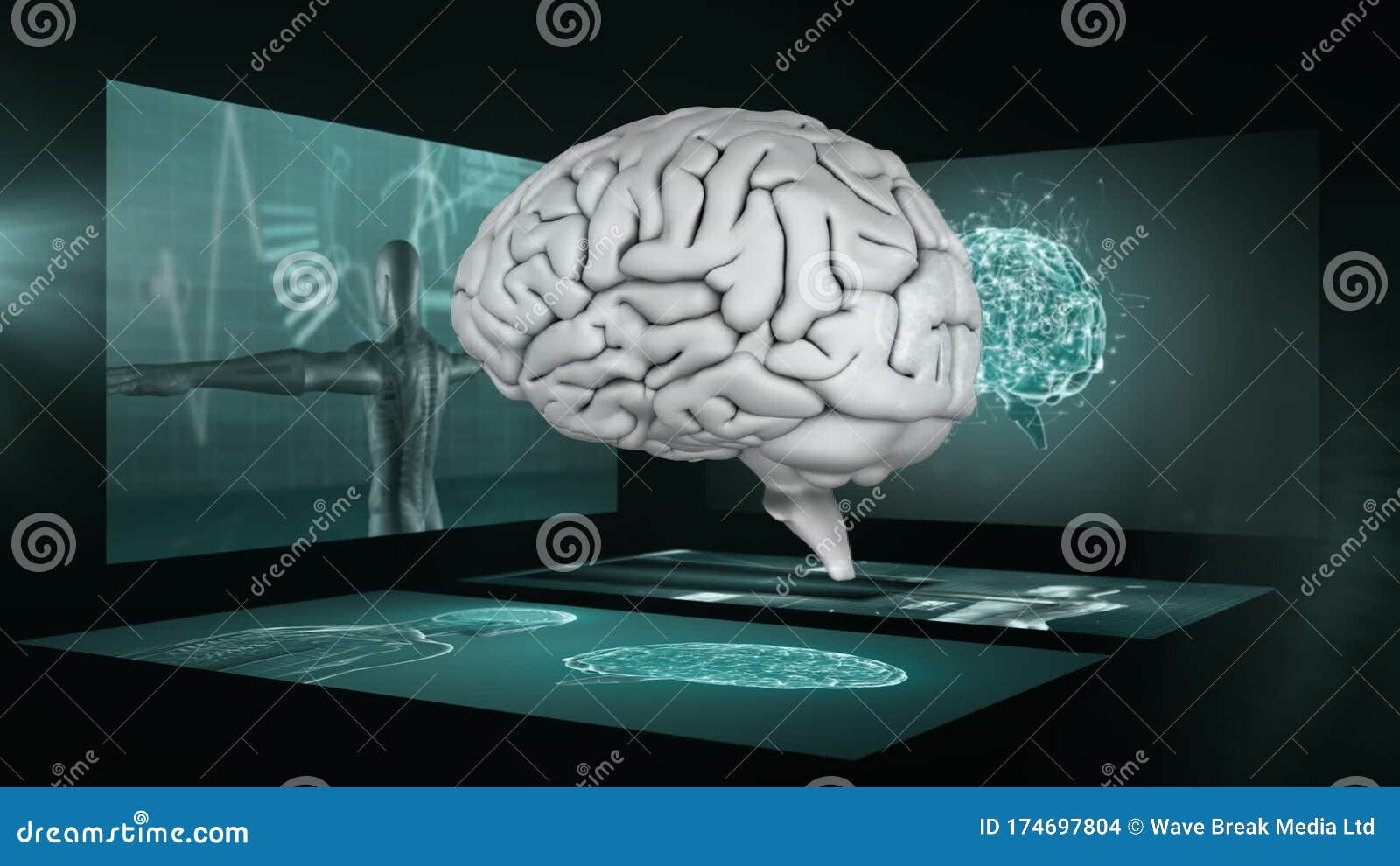 Rotating 3D Human Brain with Scientist Screens in Background Stock ...