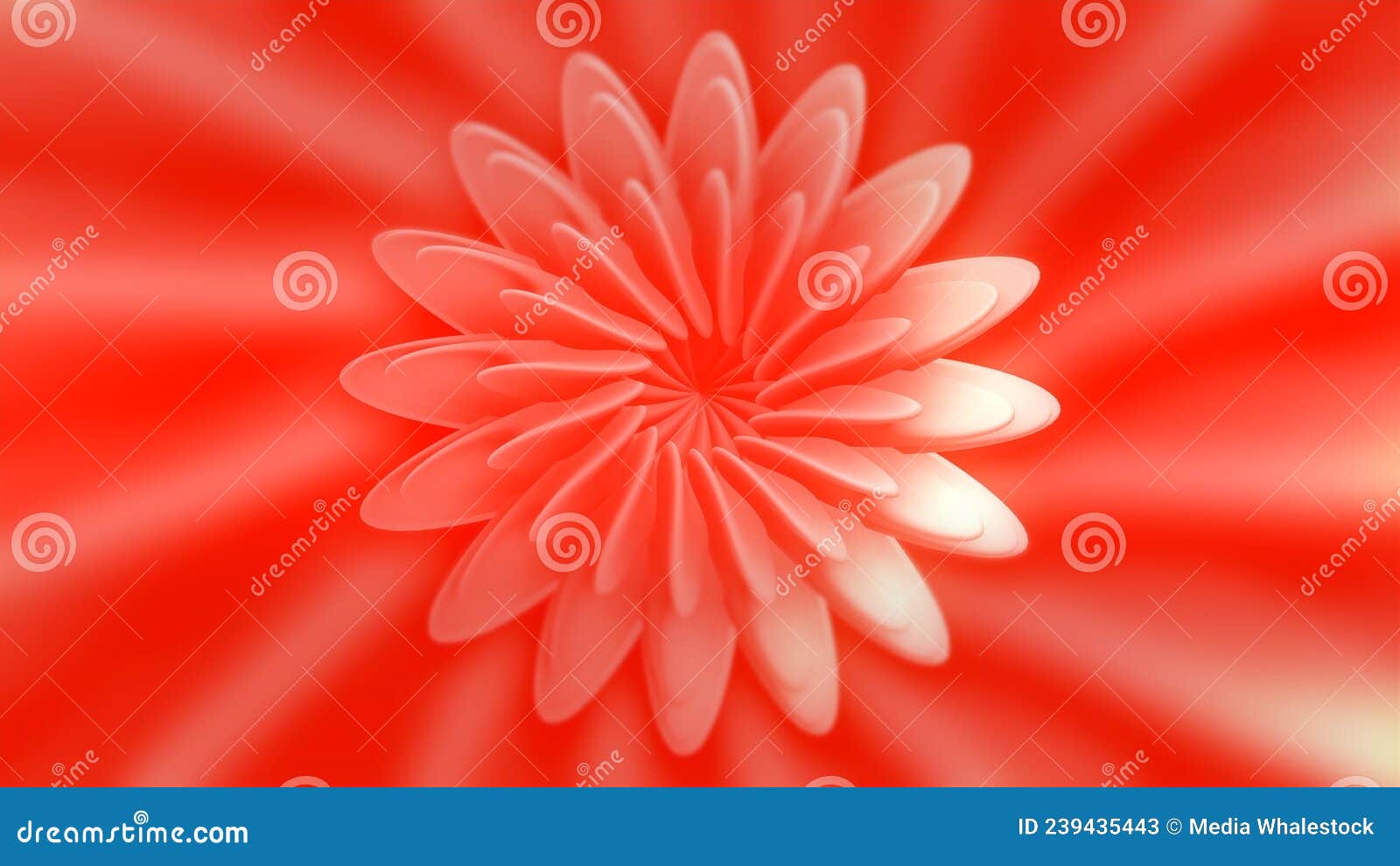 Rotating Flower Pattern. Motion. Beautiful 3d Flower Rotates and ...