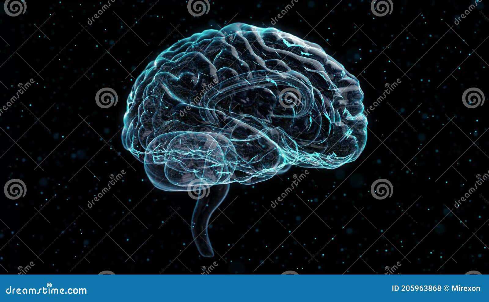 Rotating Human Brain. Polygon Mesh of Human Brain Model Stock Footage ...