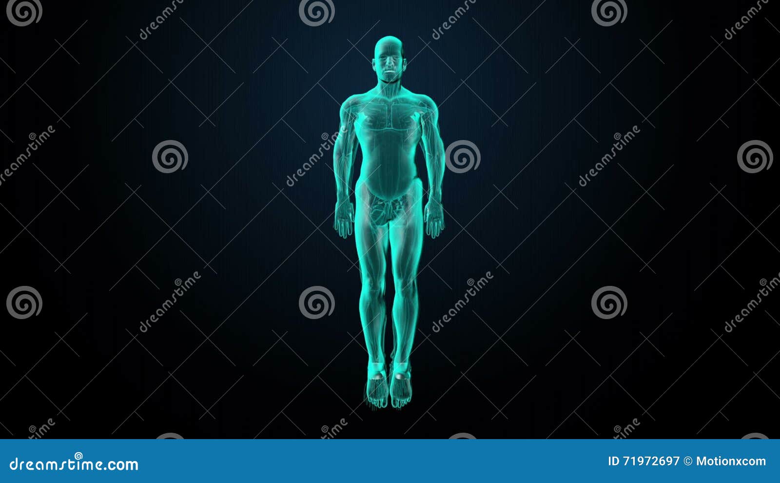 Rotating Human Skin Body Stock Footage & Videos - 19 Stock Videos