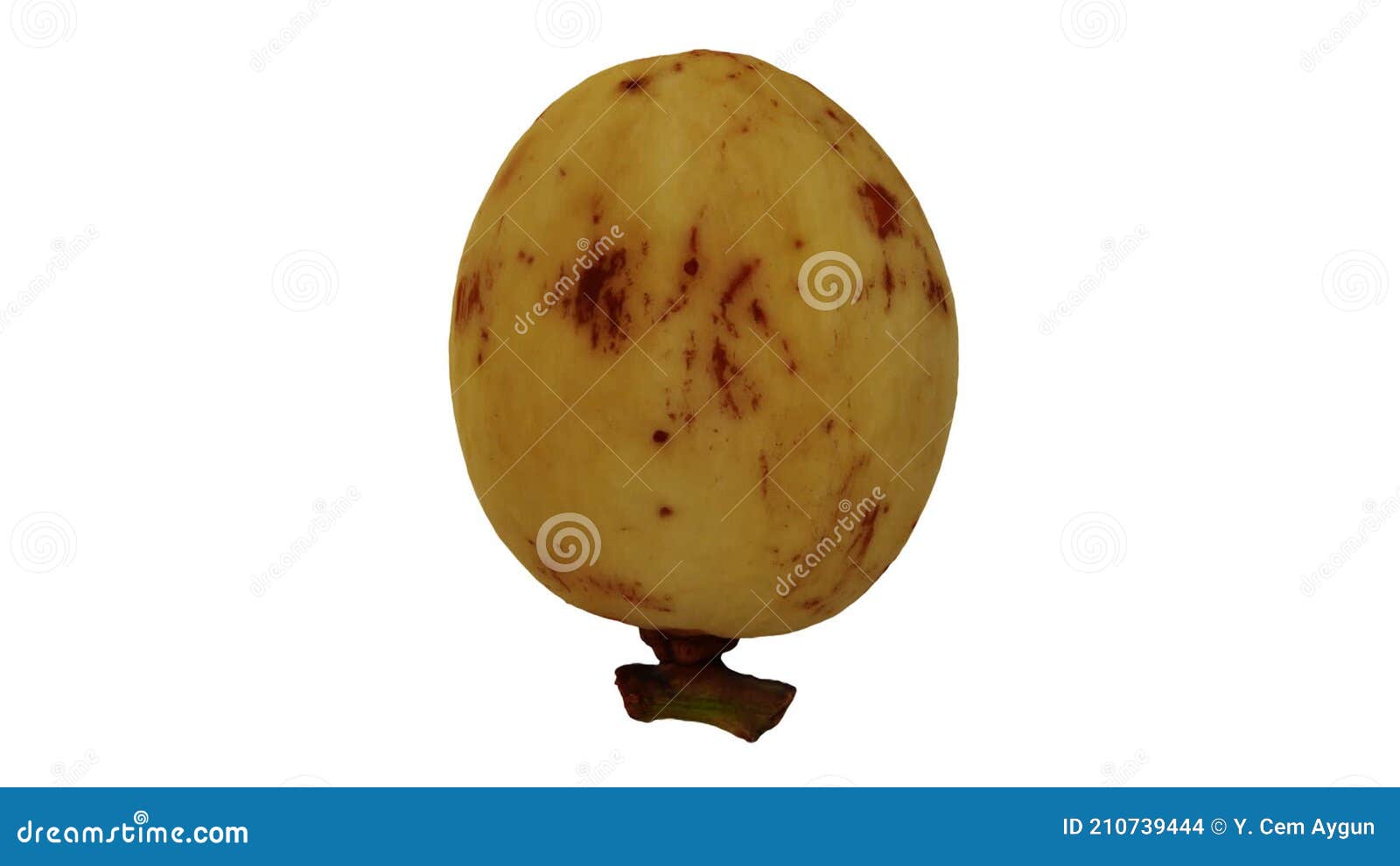 Lanzones Cartoons, Illustrations & Vector Stock Images - 34 Pictures to ...