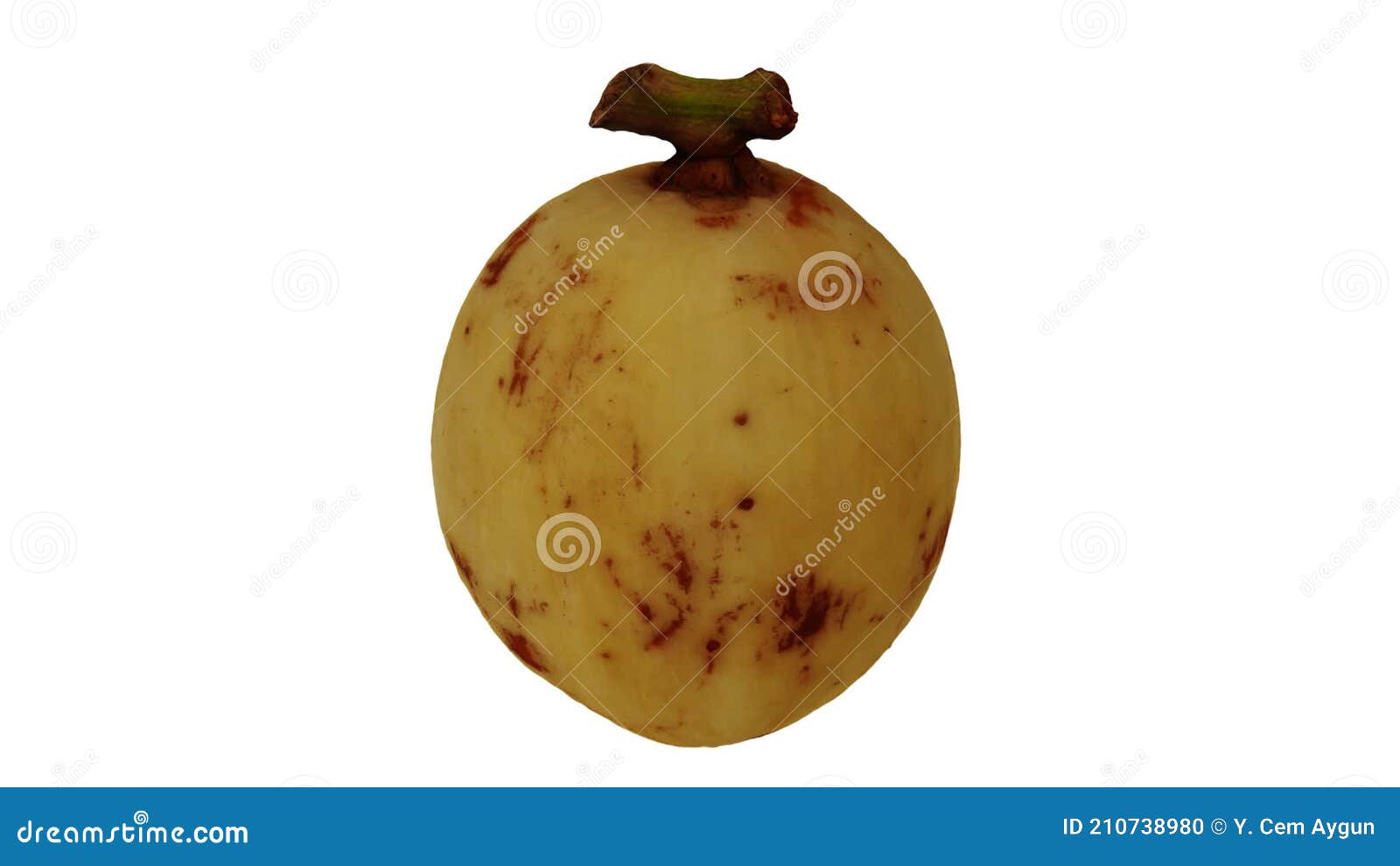 Lanzones Cartoons, Illustrations & Vector Stock Images - 32 Pictures to ...