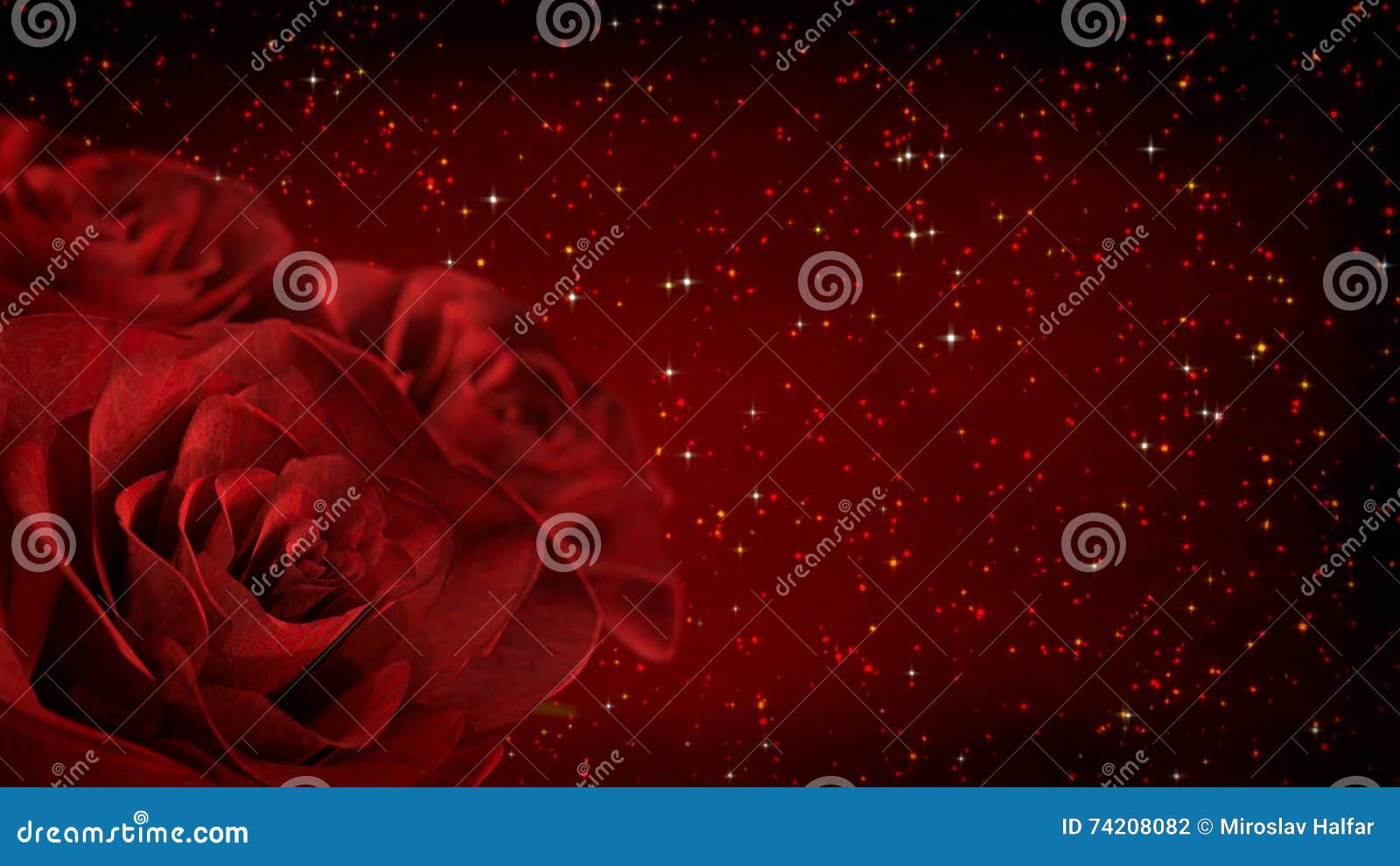 Rotating Red Roses with Glitter Particles - 3D Render. Seamless Loop ...