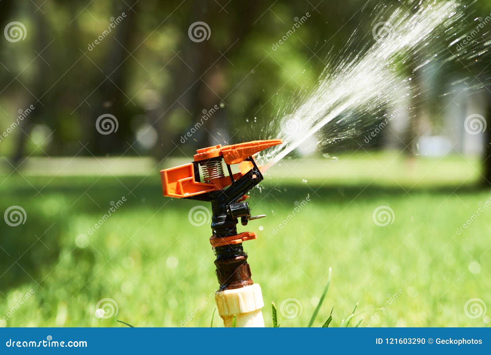 Rotating Sprinkler Spraying a Water Stock Photo - Image of droplet ...