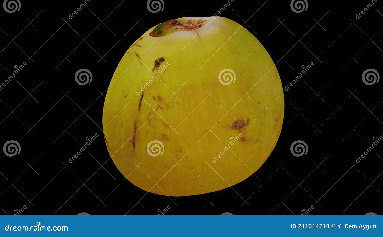 Buko Cartoons, Illustrations & Vector Stock Images - 11 Pictures to ...