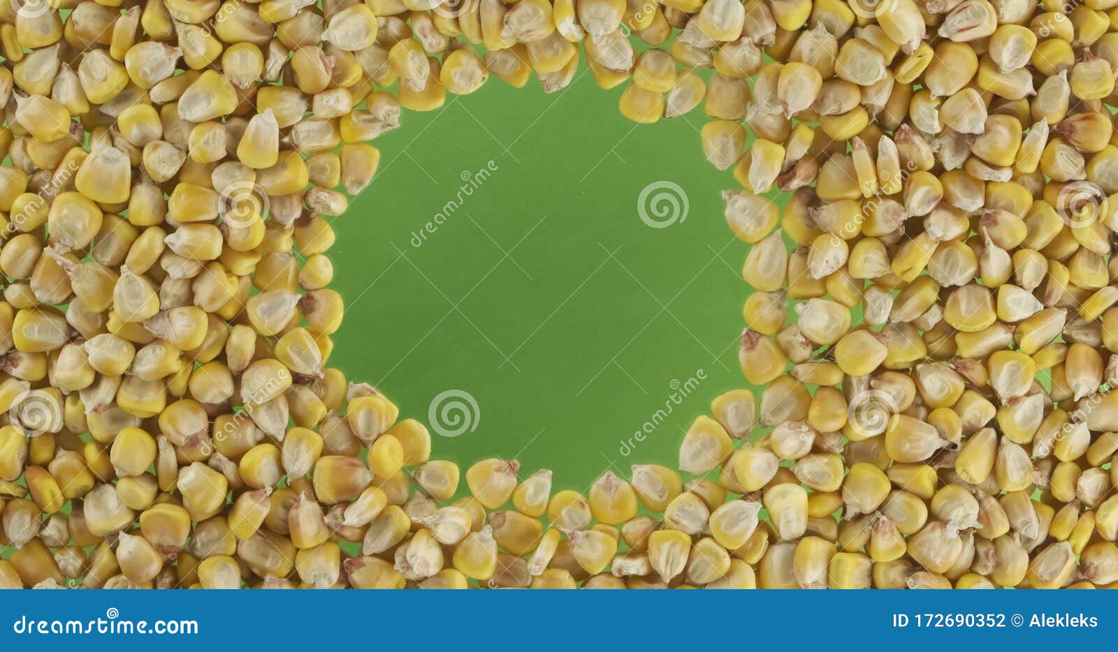 Rotation of Corn Grains Scattered in a Circle with Space in the Center ...