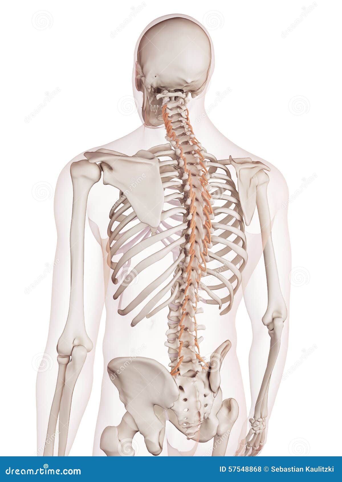 Rotatores Cartoons, Illustrations & Vector Stock Images - 23 Pictures ...