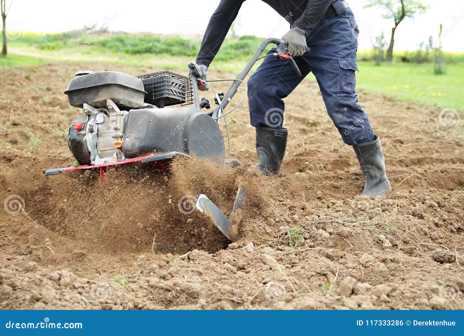 Rotavating the Garden for Potato Stock Photo - Image of garden ...
