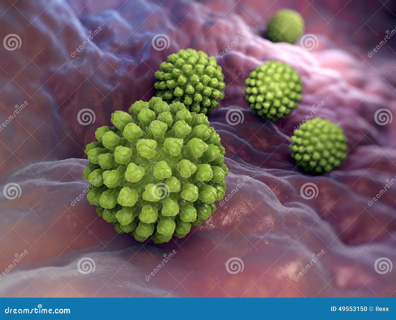 Rotavirus bacteria stock illustration. Illustration of intestine - 49553150
