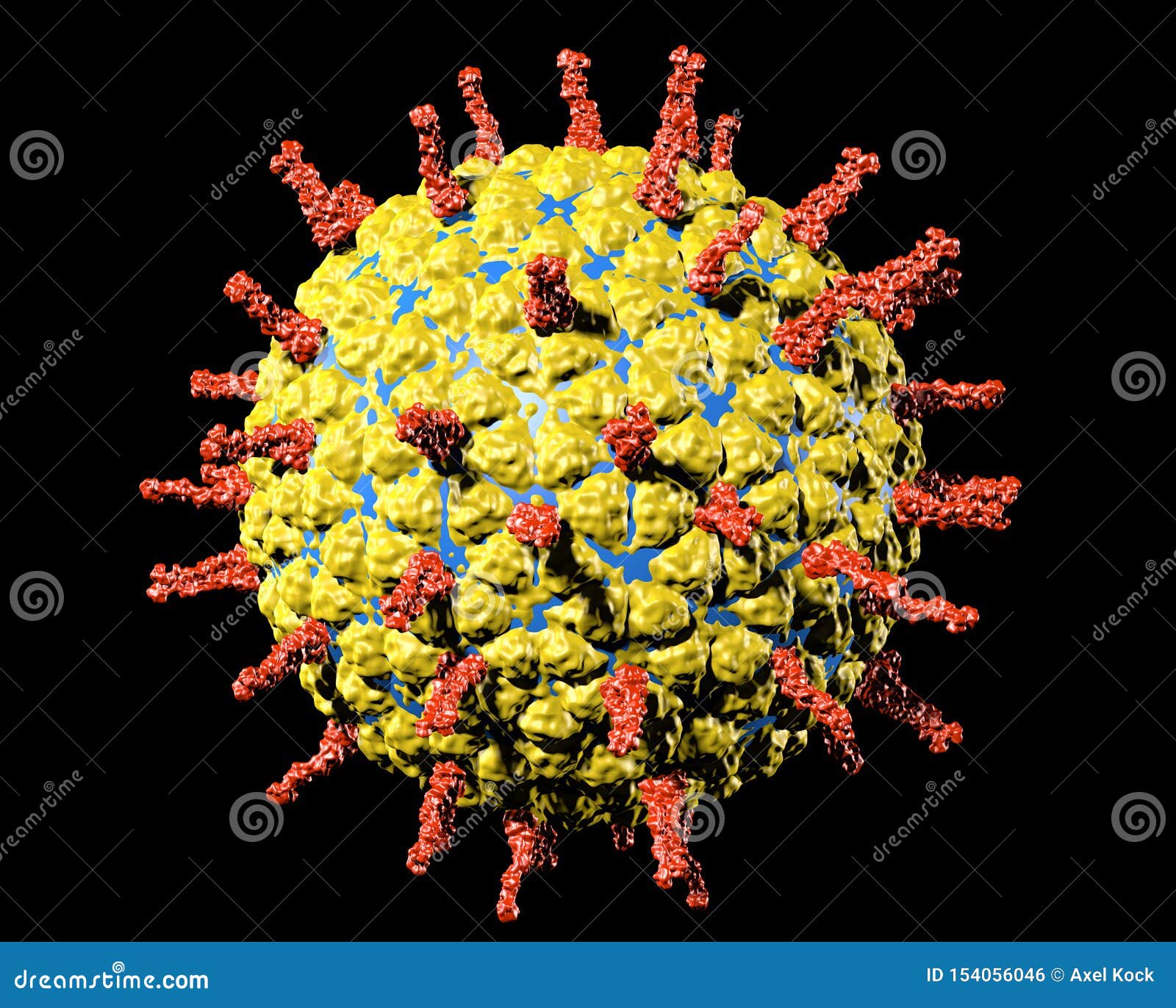 Rotavirus. Medically Accurate 3D Illustration Stock Illustration ...