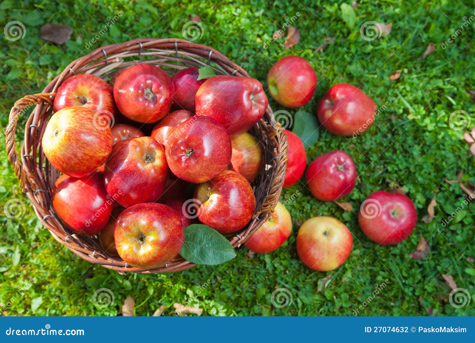 Rote Äpfel in einem Korb stockfoto. Bild von reif, frisch - 27074632