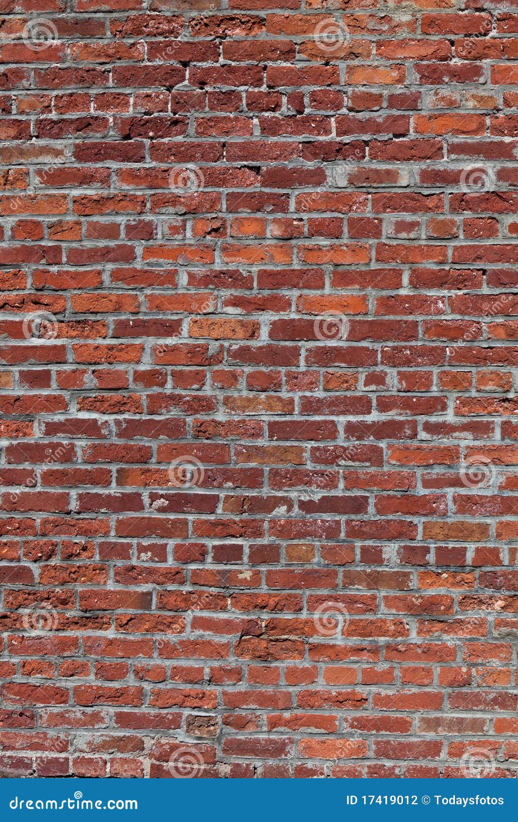 Rote Backsteinmauer, Vertikal Stockfoto - Bild von ziegelsteine, gras ...
