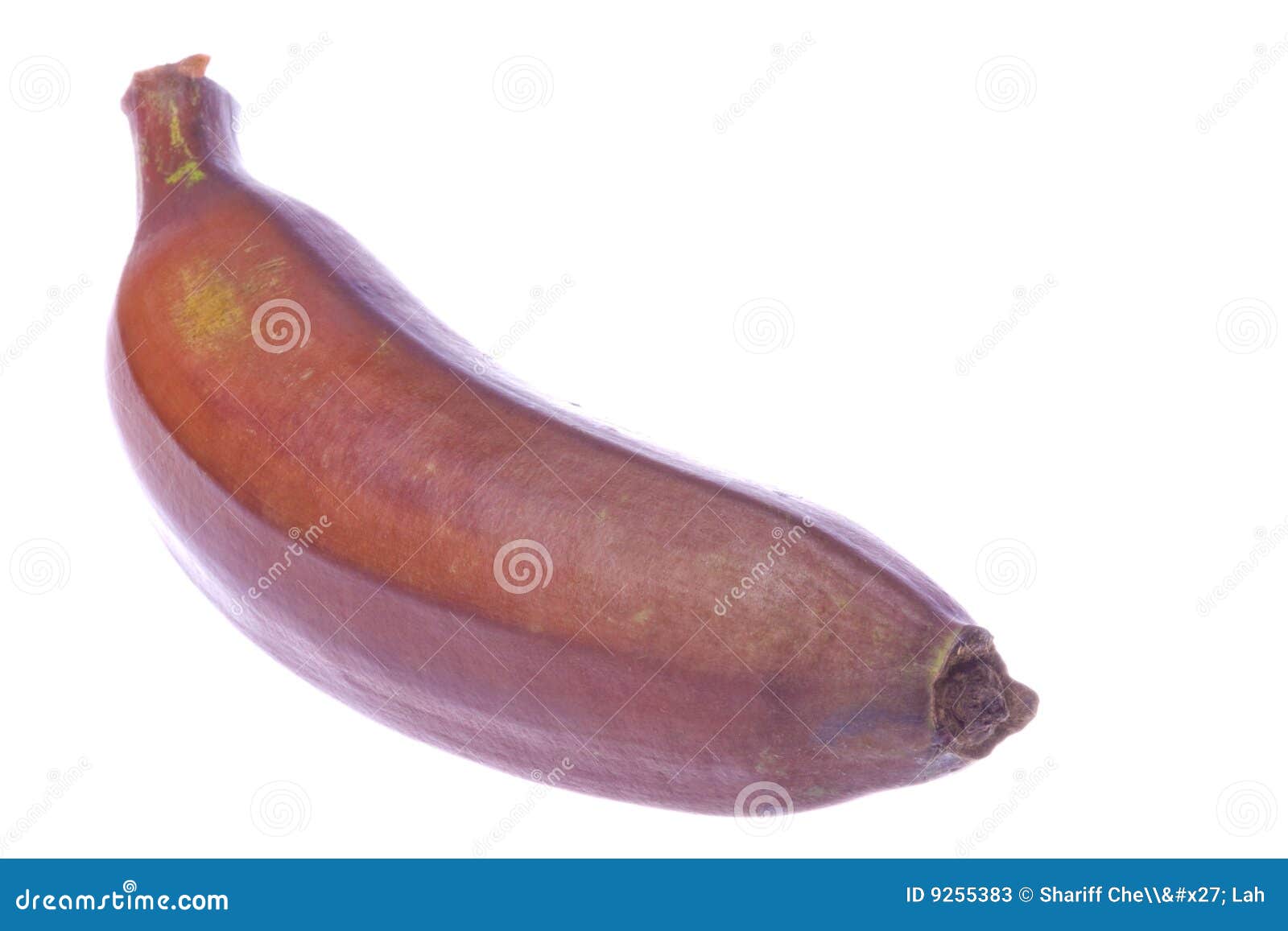 Rote Banane getrennt stockbild. Bild von nahaufnahme, bananen - 9255383