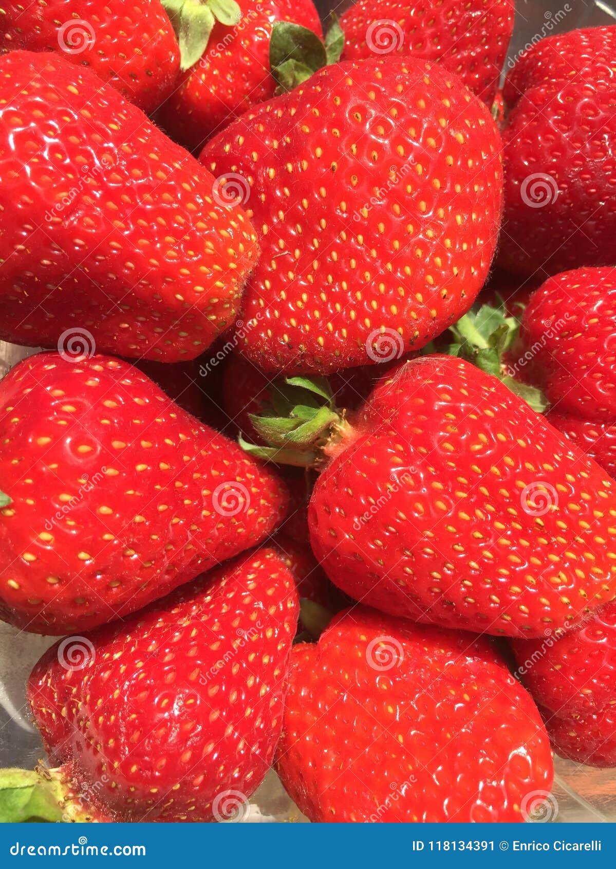 Rote Erdbeeren stockbild. Bild von erdbeeren, fotografiert - 118134391
