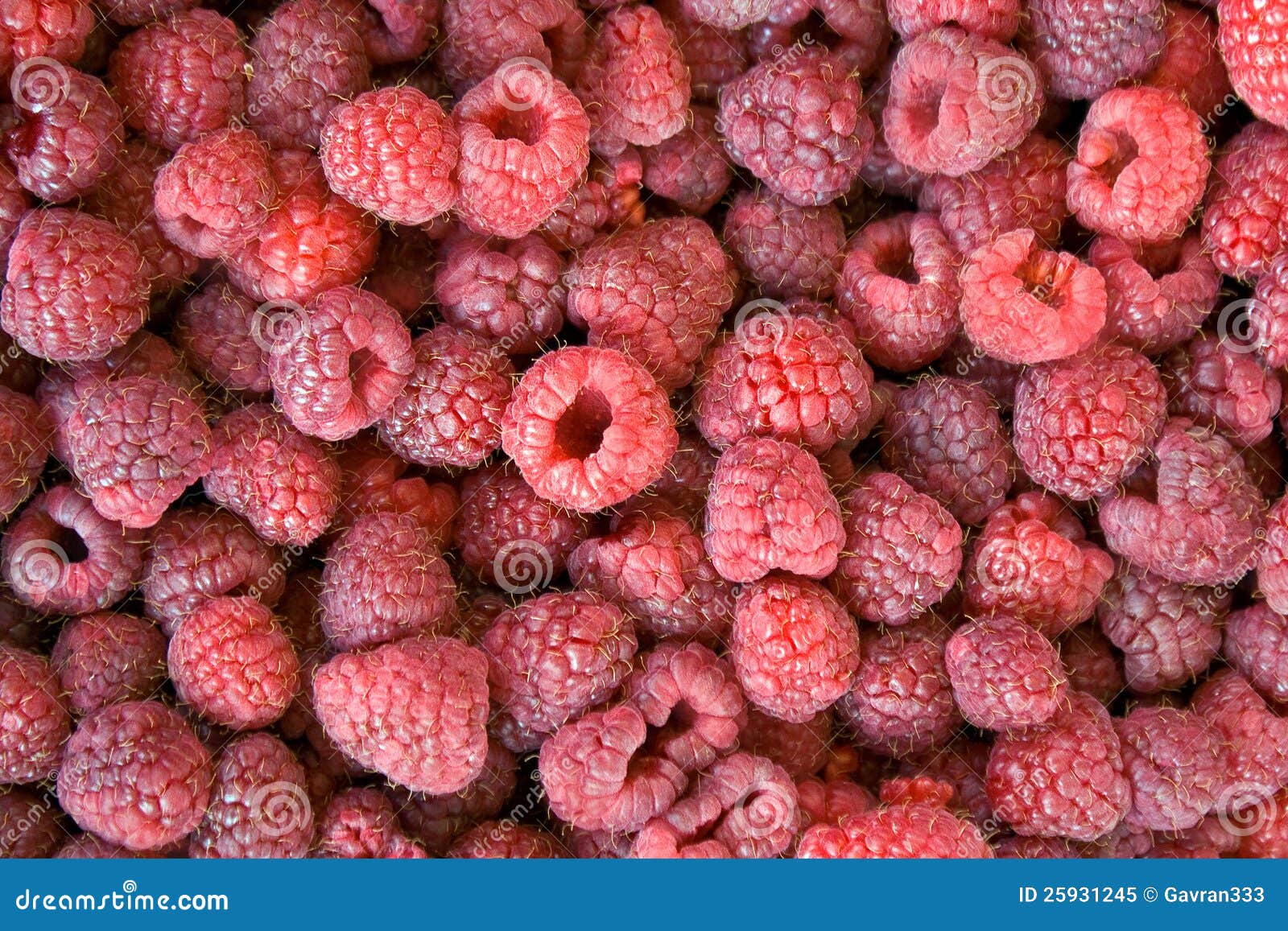 Rote Himbeere stockbild. Bild von nahrhaft, nachtisch - 25931245