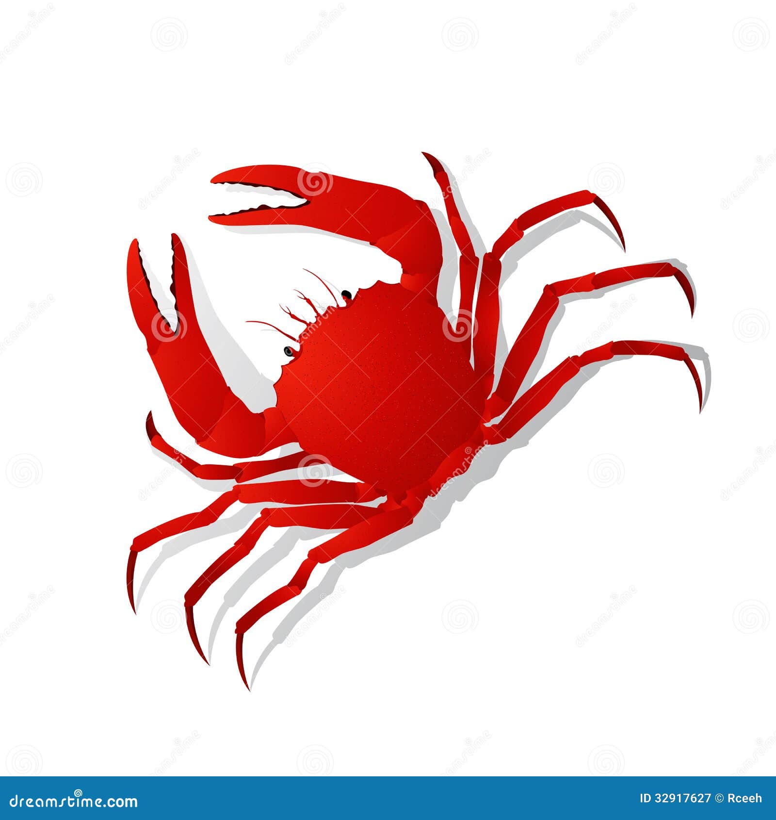 Rote Krabbe vektor abbildung. Illustration von speisen - 32917627