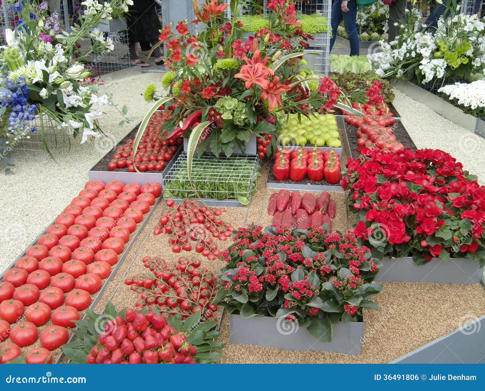 Rote Obst- Und GemüseAnzeige Stockfoto - Bild von gärten, nahrung: 36491806