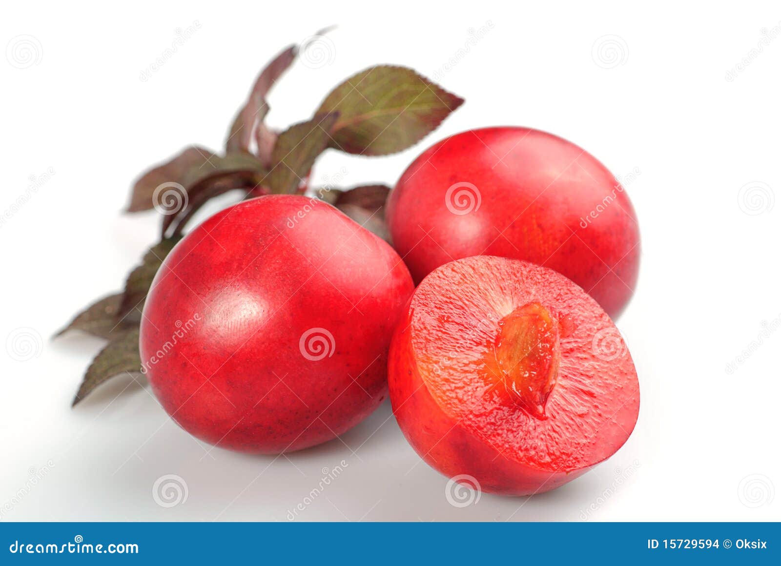 Rote Pflaume stockfoto. Bild von reif, makro, organisch - 15729594