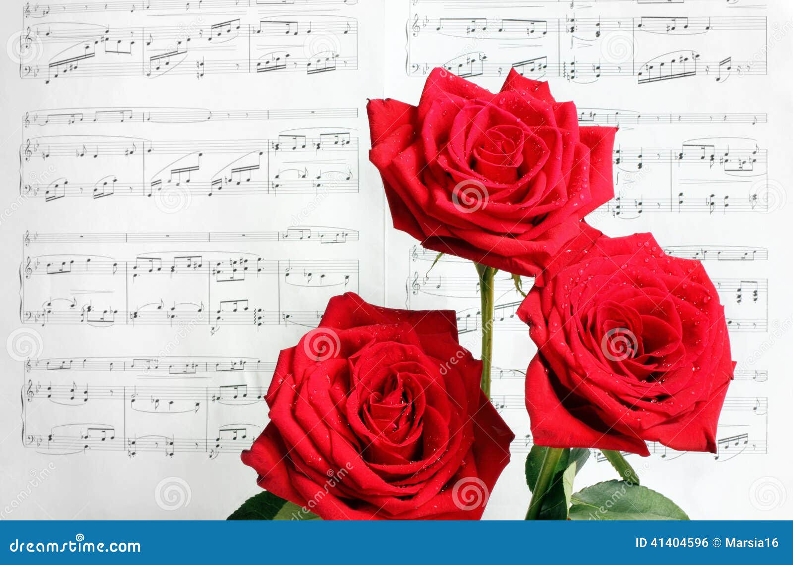 Rote Rosen und Noten stockfoto. Bild von festlich, konzert - 41404596