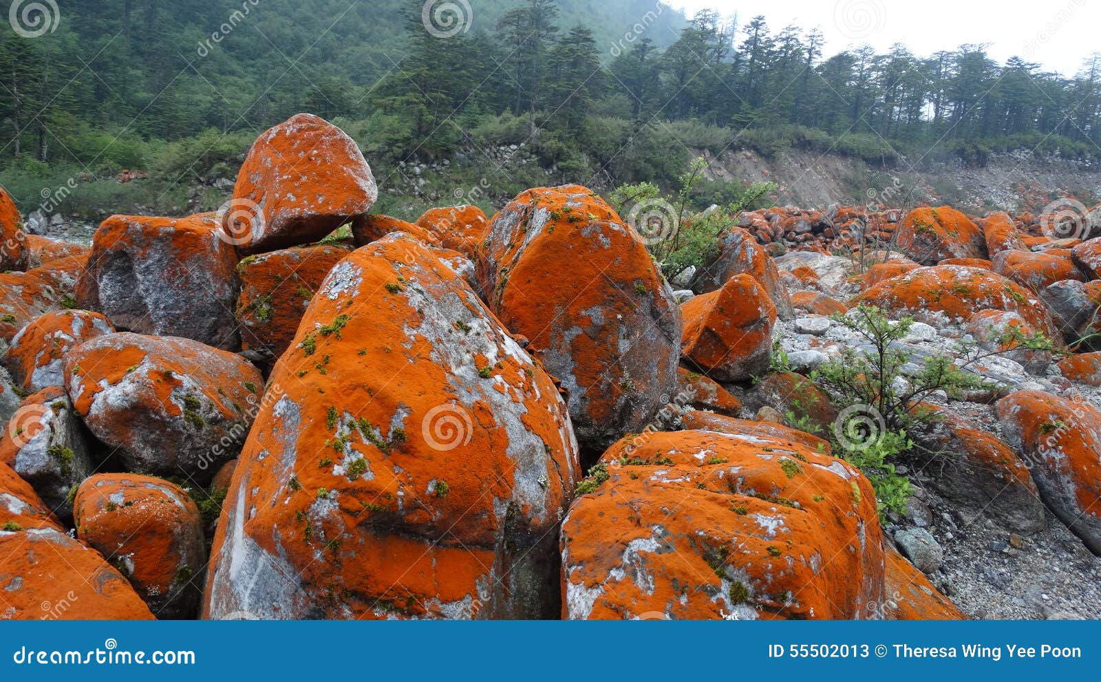 Rote Steine Strand, Berg Gongga Stockbild - Bild von strand, montierung ...