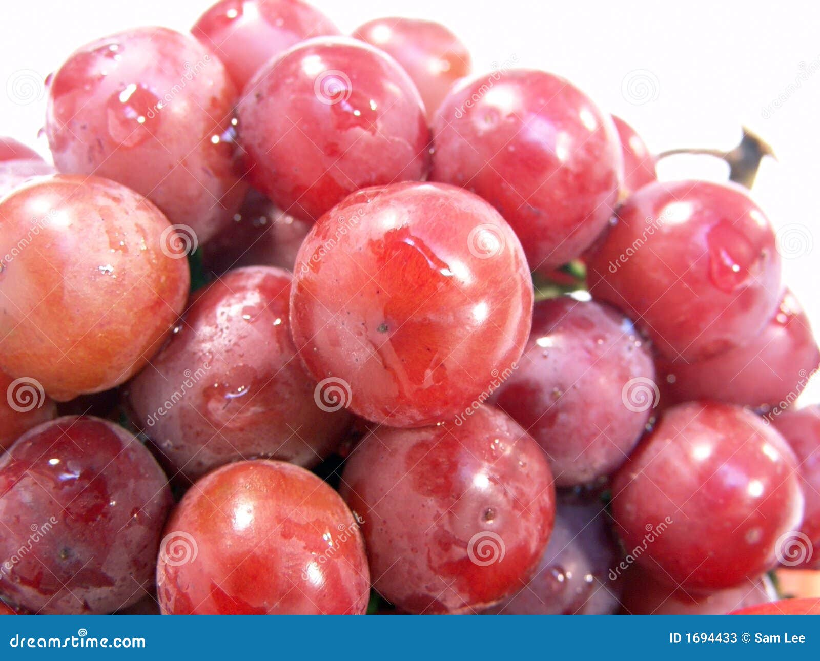 Rote Trauben stockbild. Bild von dekoration, trauben, nahrung - 1694433