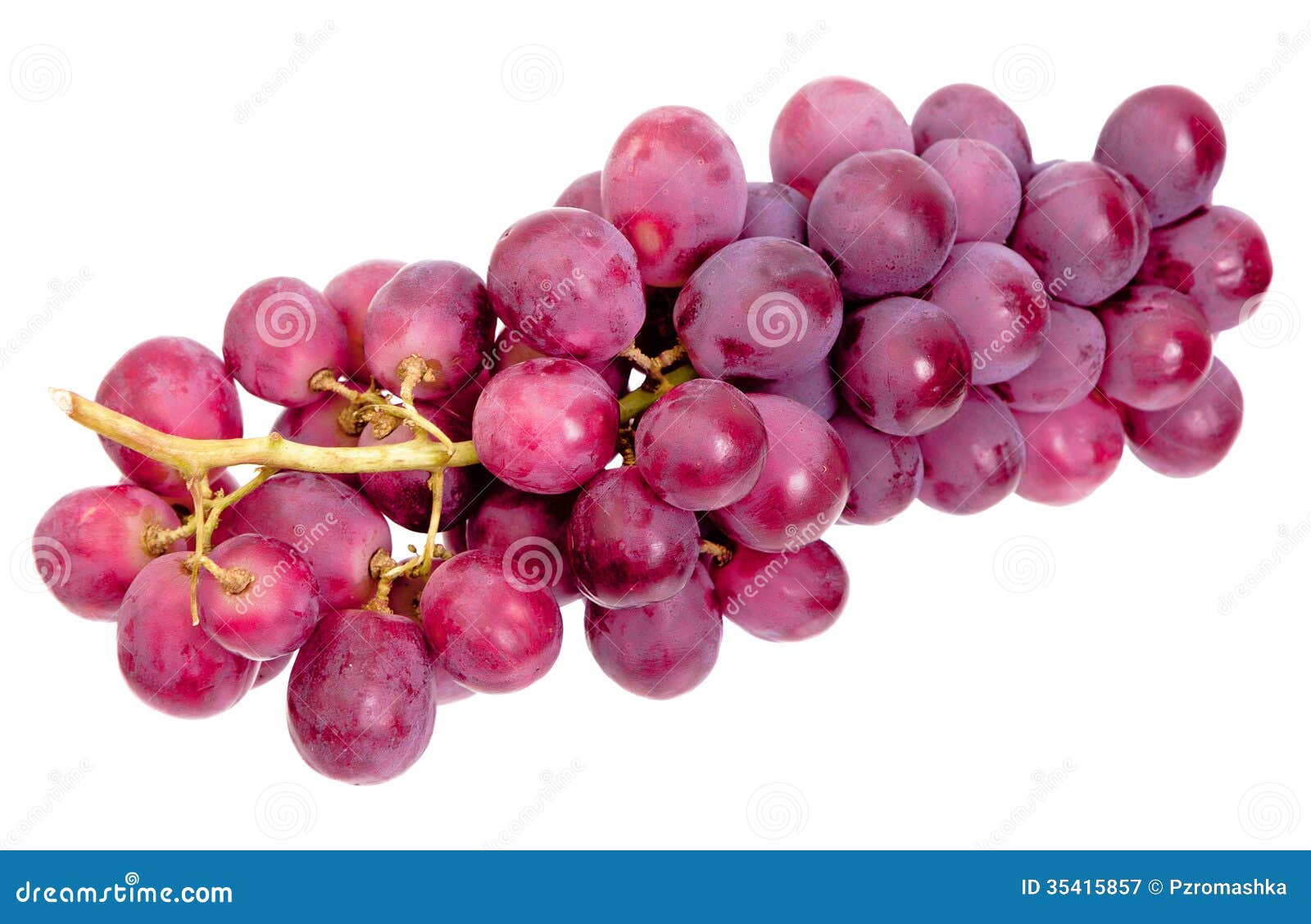 Rote Trauben stockbild. Bild von nahaufnahme, organisch - 35415857